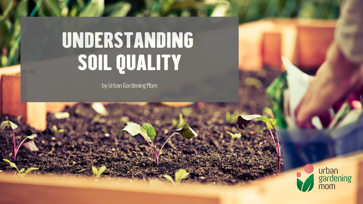 Understanding Your Garden’s Soil Quality – Urban Gardening Mom