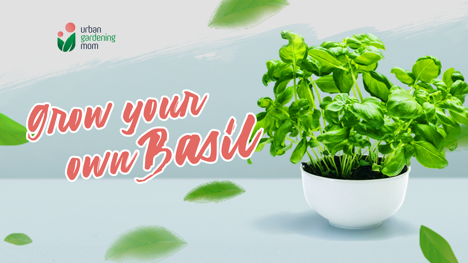Grow Your Own Basil at Home – Urban Gardening Mom