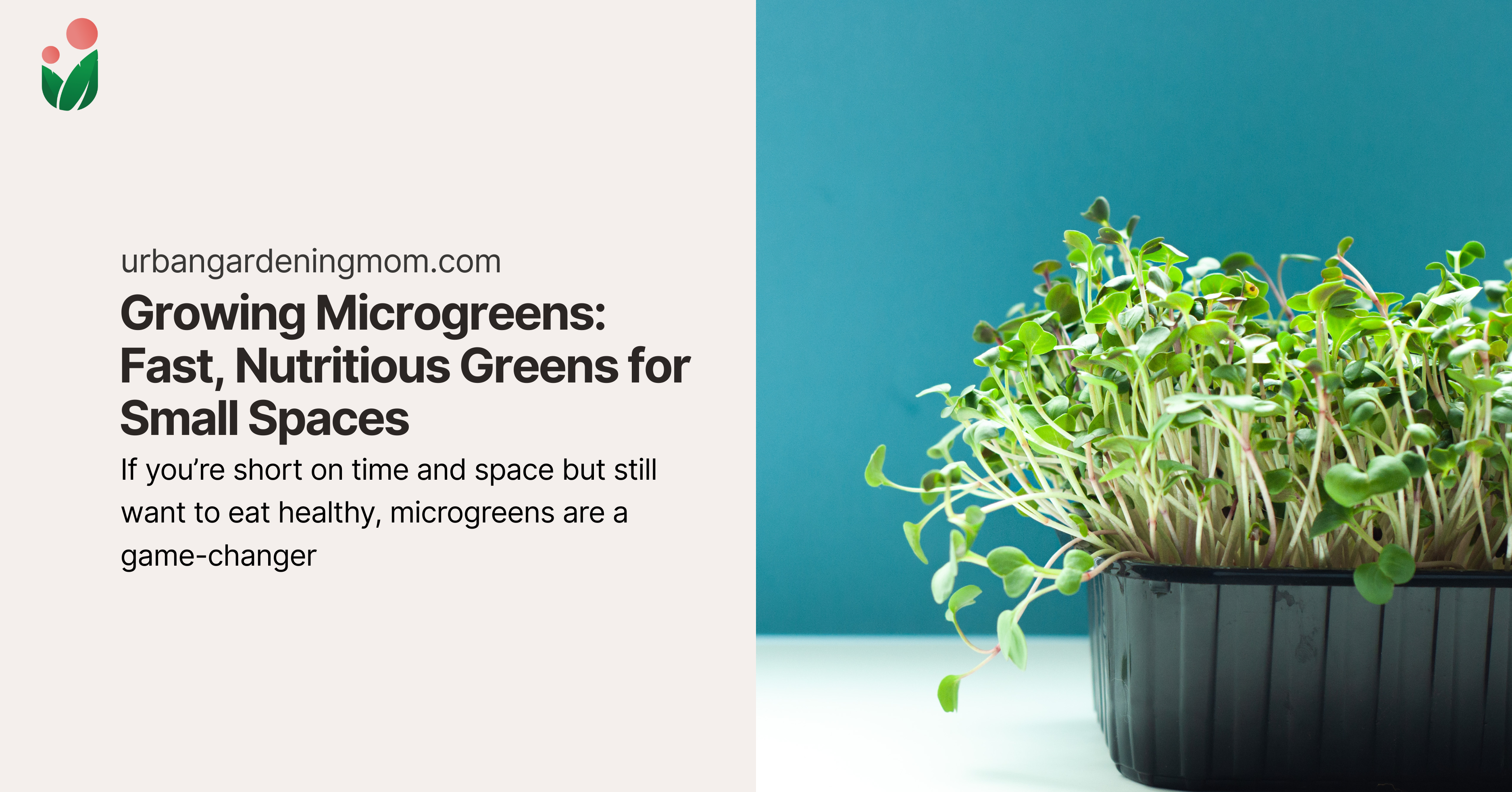 Growing Microgreens: Fast, Nutritious Greens for Small Spaces – Urban ...