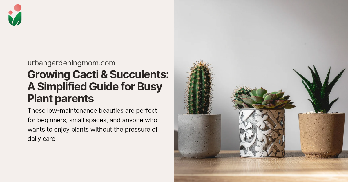 Growing Cacti & Succulents: A Simplified Guide for Busy Plant parents ...