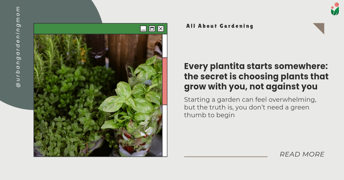 Every plantita starts somewhere: the secret is choosing plants that gr ...