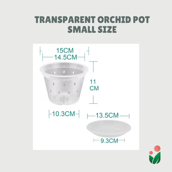 Breathable and Transparent Orchid Pot with Catch Plate – Urban ...