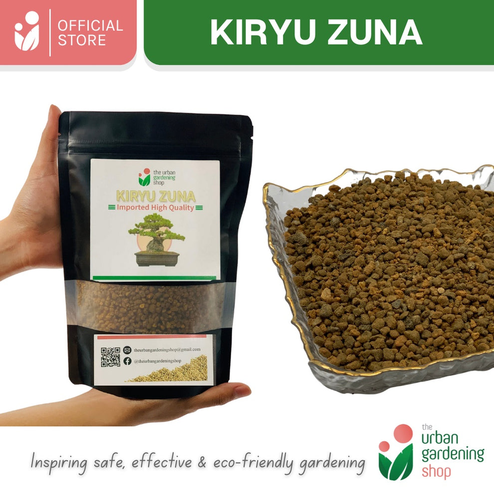 Kiryu Zuna Ideal Substrate For Bonsai And Succulents – Urban Gardening Mom