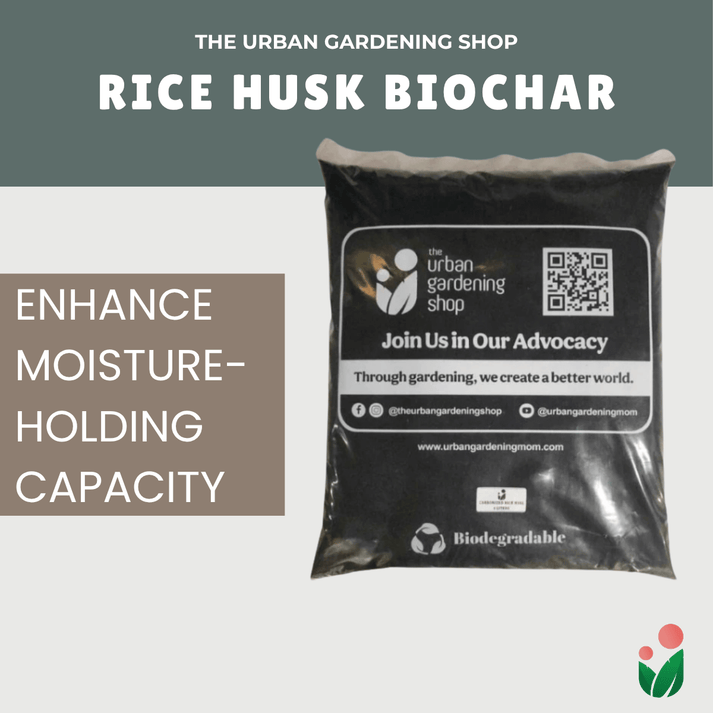 Rice Husk Biochar – Urban Gardening Mom
