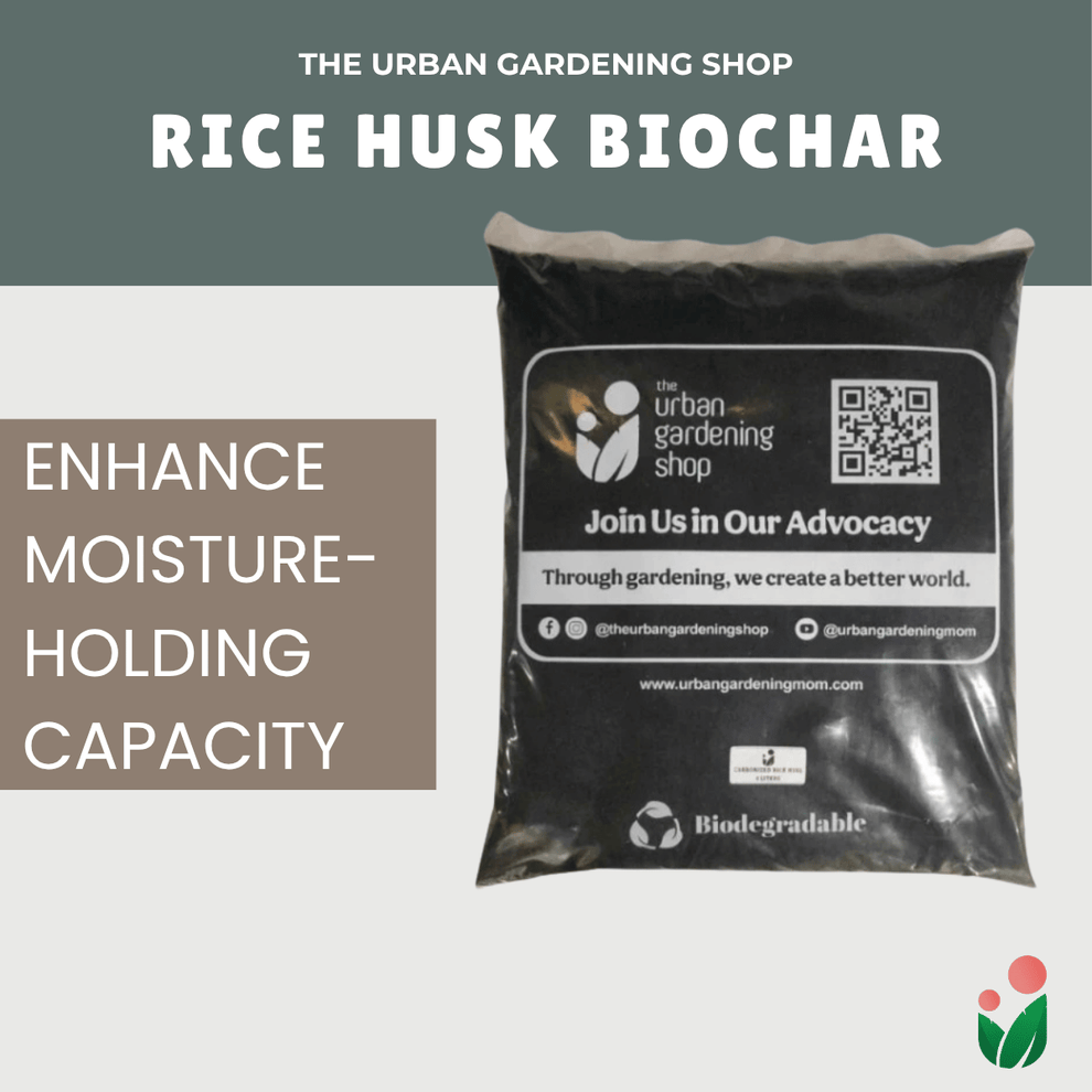 Rice Husk Biochar – Urban Gardening Mom