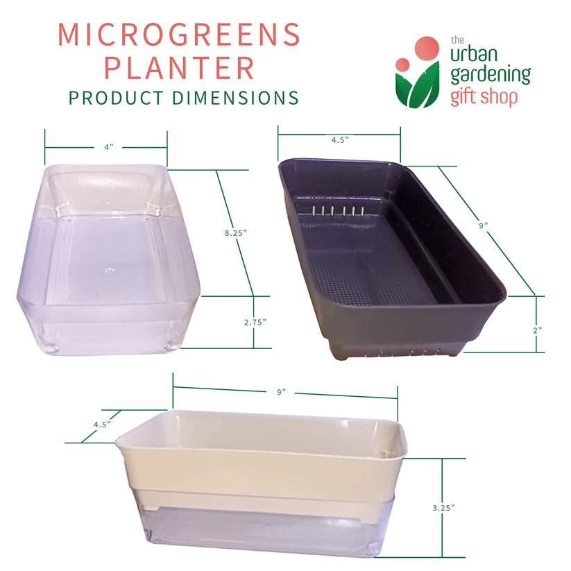 MICROGREENS PLANTER (Self Watering Planter for Growing Microgreens ...