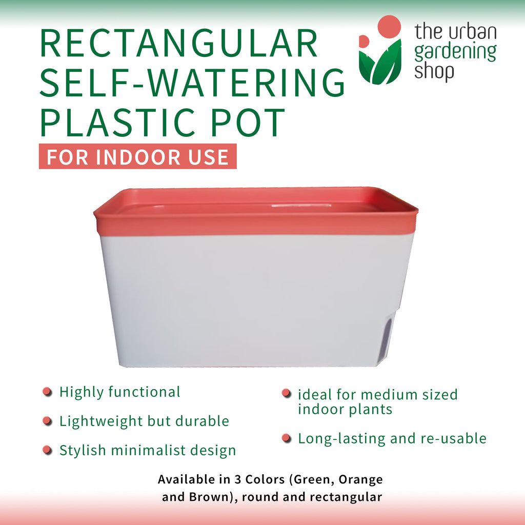 RECTANGULAR SELF- WATERING PLASTIC POTS (Stylish High Quality Pots For ...